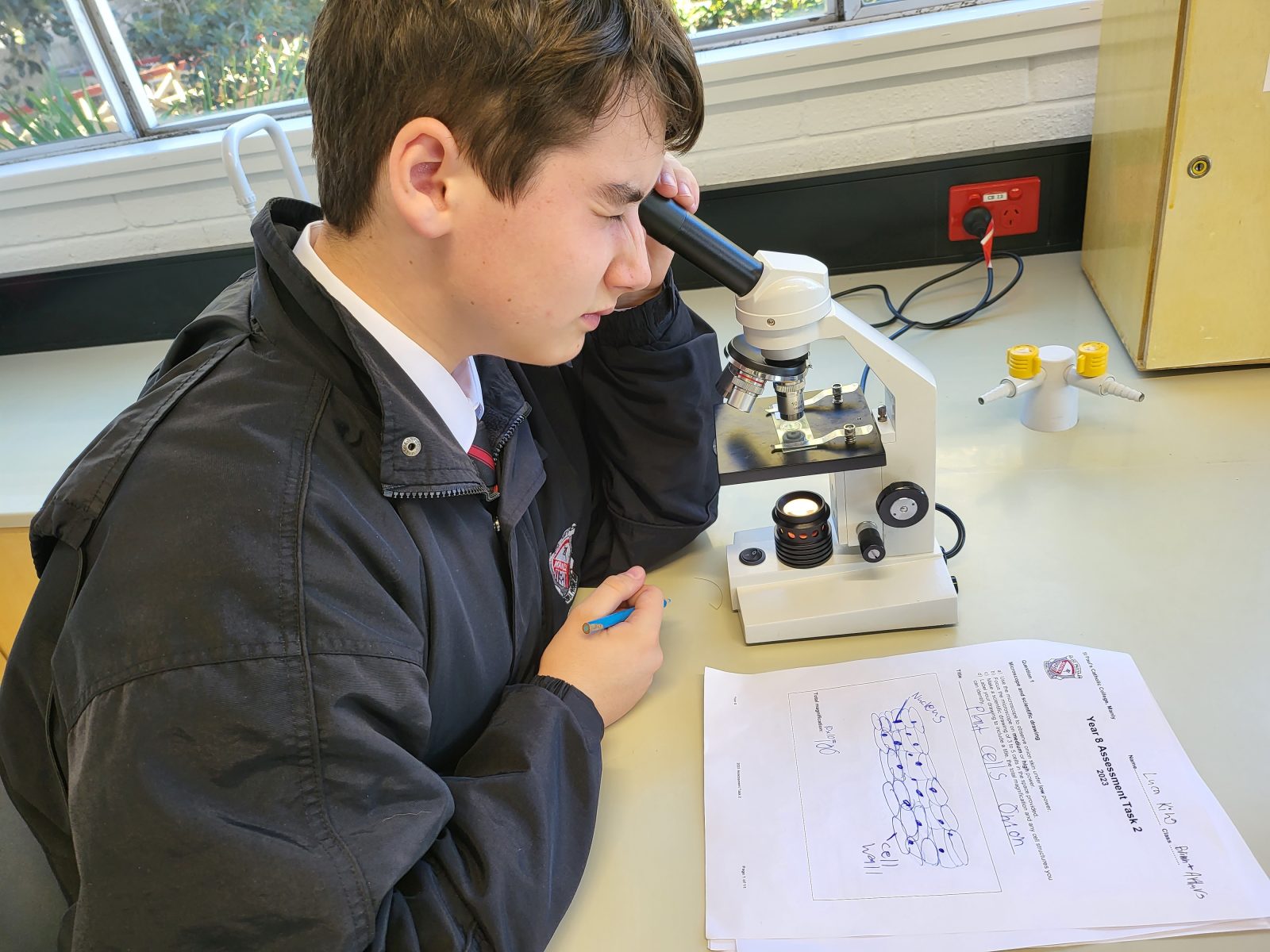 Diverse Learning and Enrichment - St Paul's Catholic College